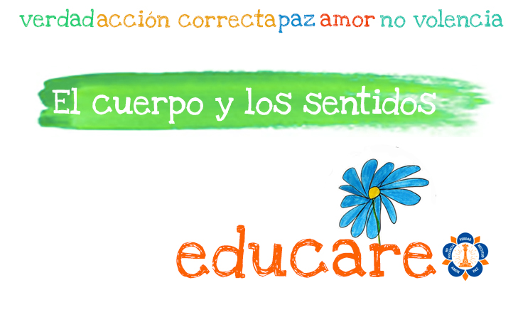 EL CUERPO Y LOS SENTIDOS - LOS CINCO SENTIDOS - Organización Sri Sathya ...